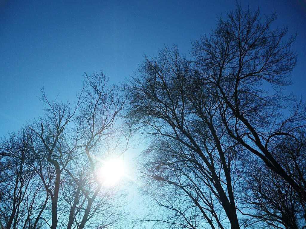 Thought for the day, Friday 2nd August – King Edward Street Chapel